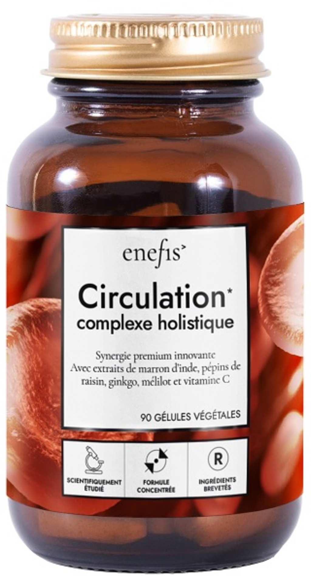 Complexe circulation holistique - 90 gélules végétales - Enefis ...
